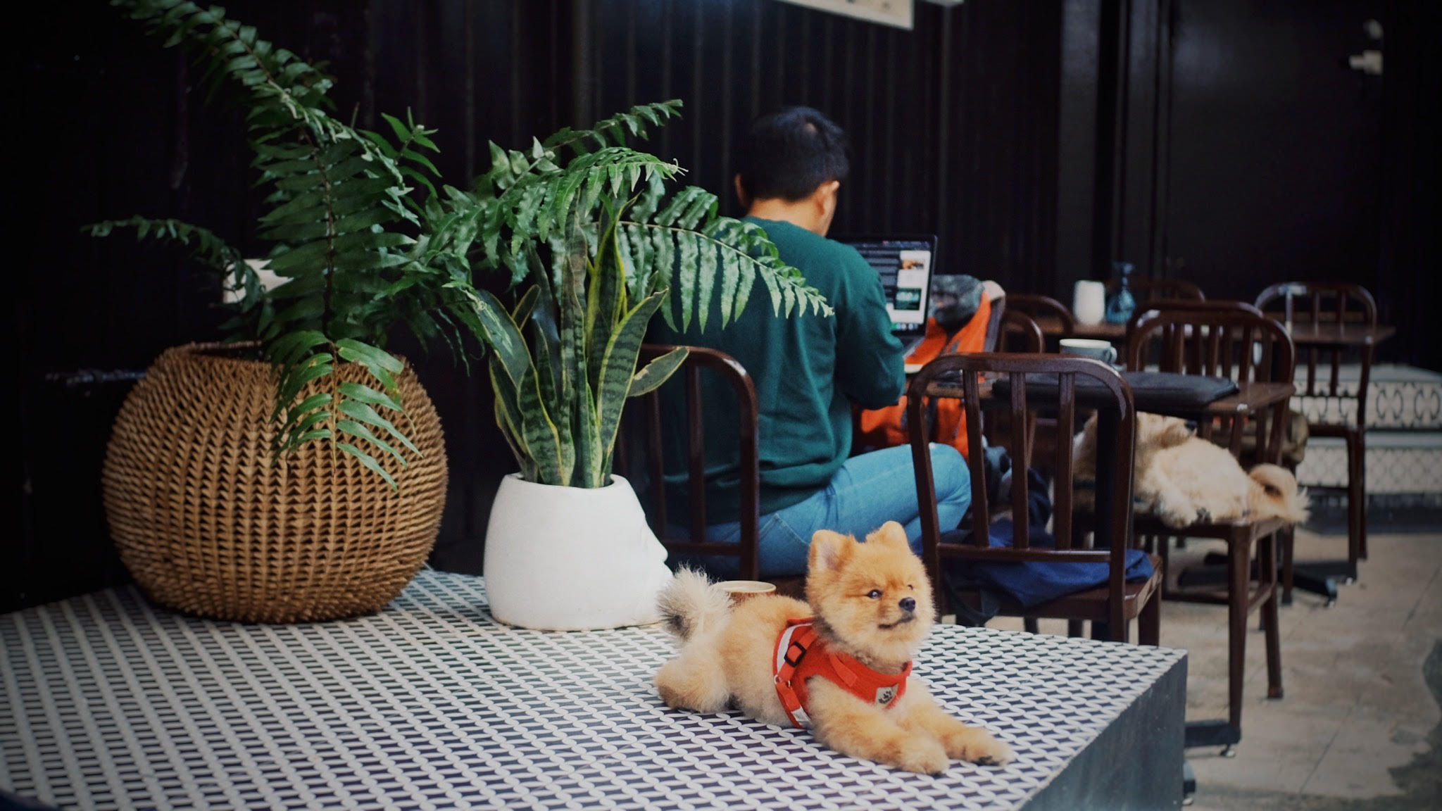 Did We Make the Right Choice of Opening a New Cafe and Resto during the ...